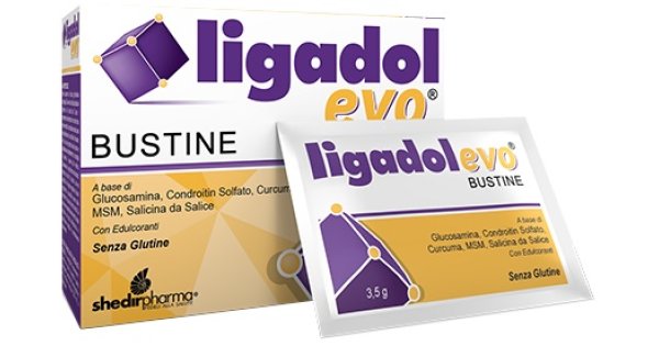 LIGADOL EVO 20 Bust.